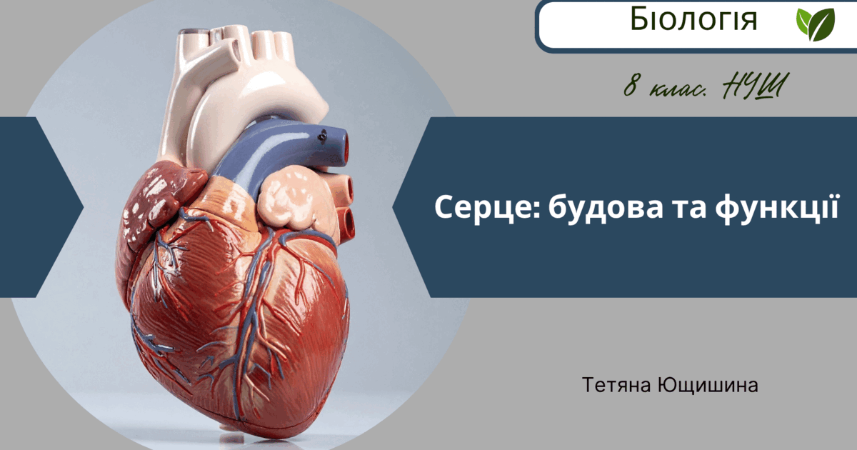 Серце: будова та функції. 8 клас. НУШ | Презентація. Біологія