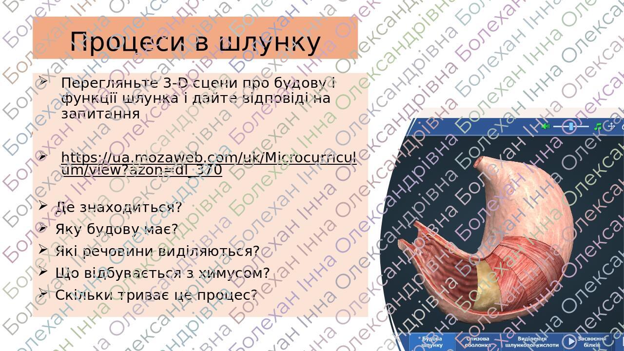 Презентація "Процеси травлення в шлунку" | . Різне
