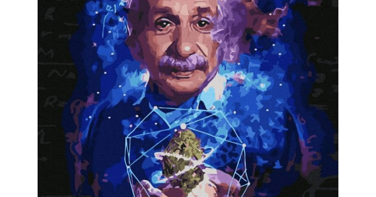 A GENTLE GENIUS. Завдання до тексту для домашнього читання 9 клас ( за ...