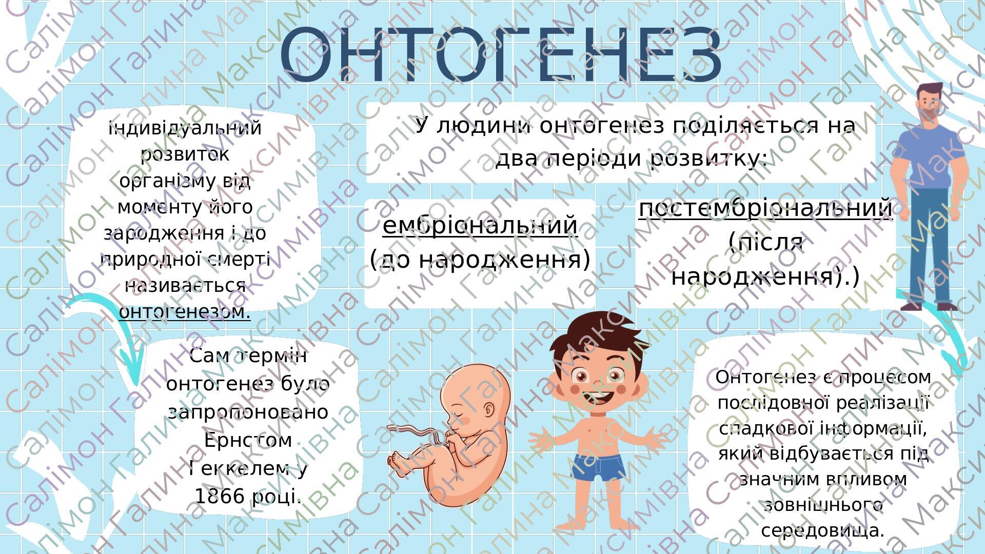презентація до уроку 56 постембріональний розвиток людини