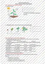 Діагностична робота на тему: «Пізнаємо біологічні явища» за групами ...