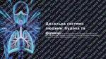 Презентація на тему : "Дихальна система людини" | Презентація. Біологія