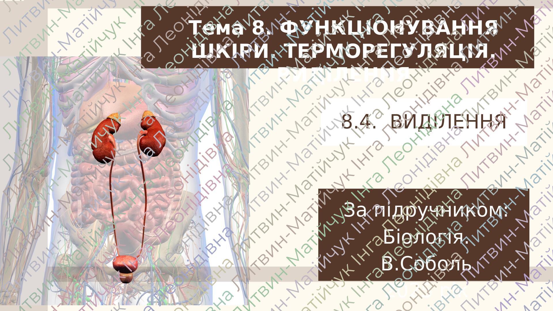 § 8.4. ВИДІЛЕННЯ, Соболь 8 клас, НУШ | Презентація. Біологія