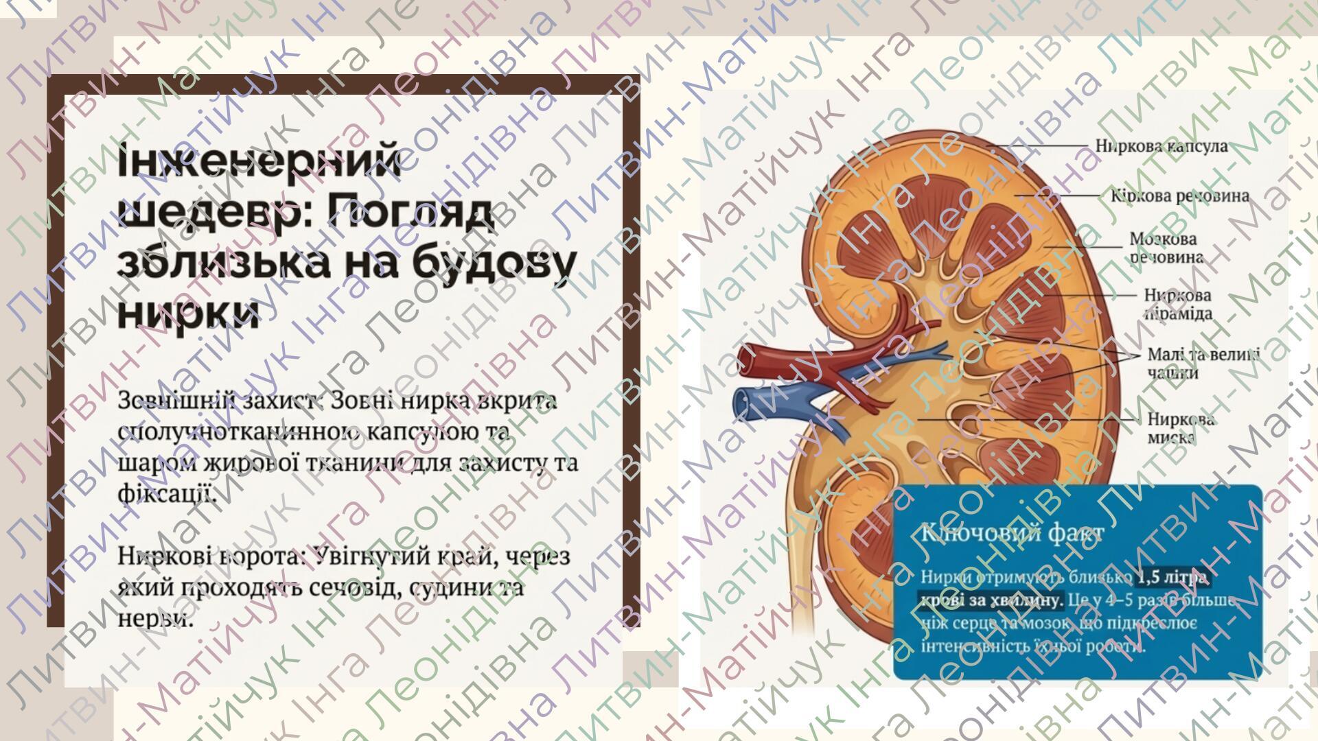 § 8.4. ВИДІЛЕННЯ, Соболь 8 клас, НУШ | Презентація. Біологія