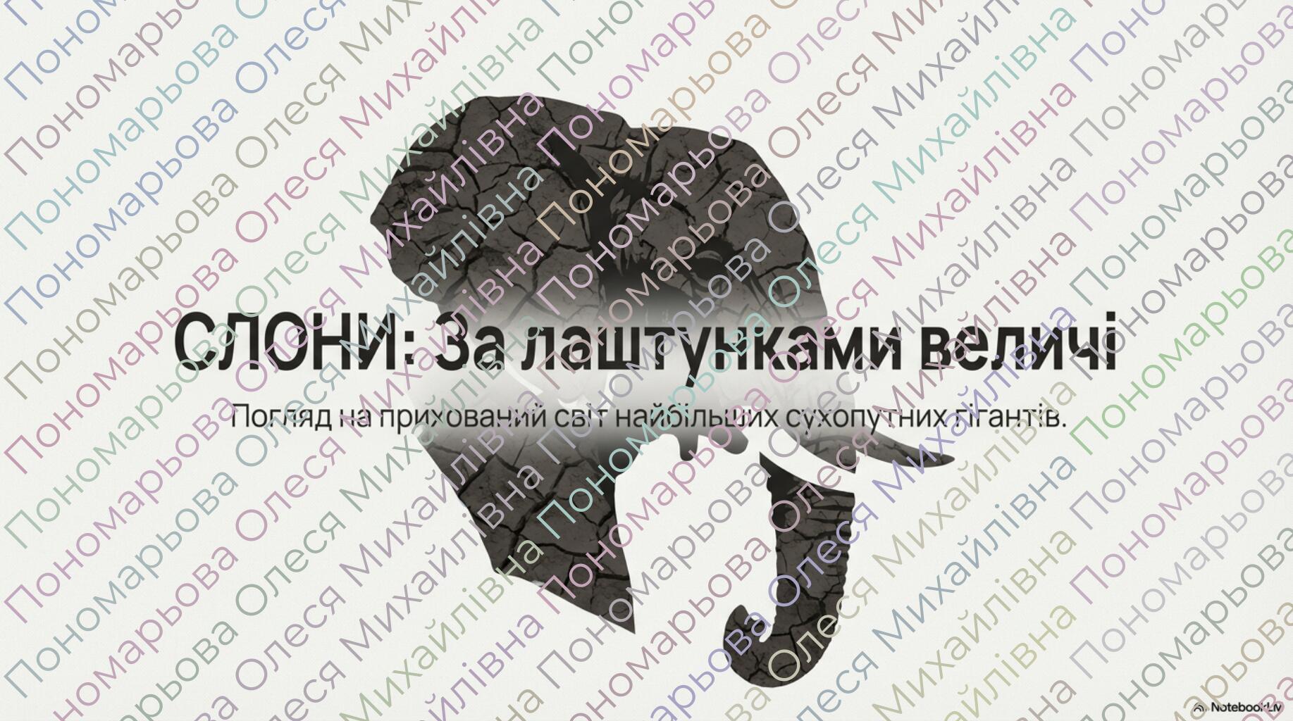 Слони: за лаштунками величі | Презентація. Довкілля