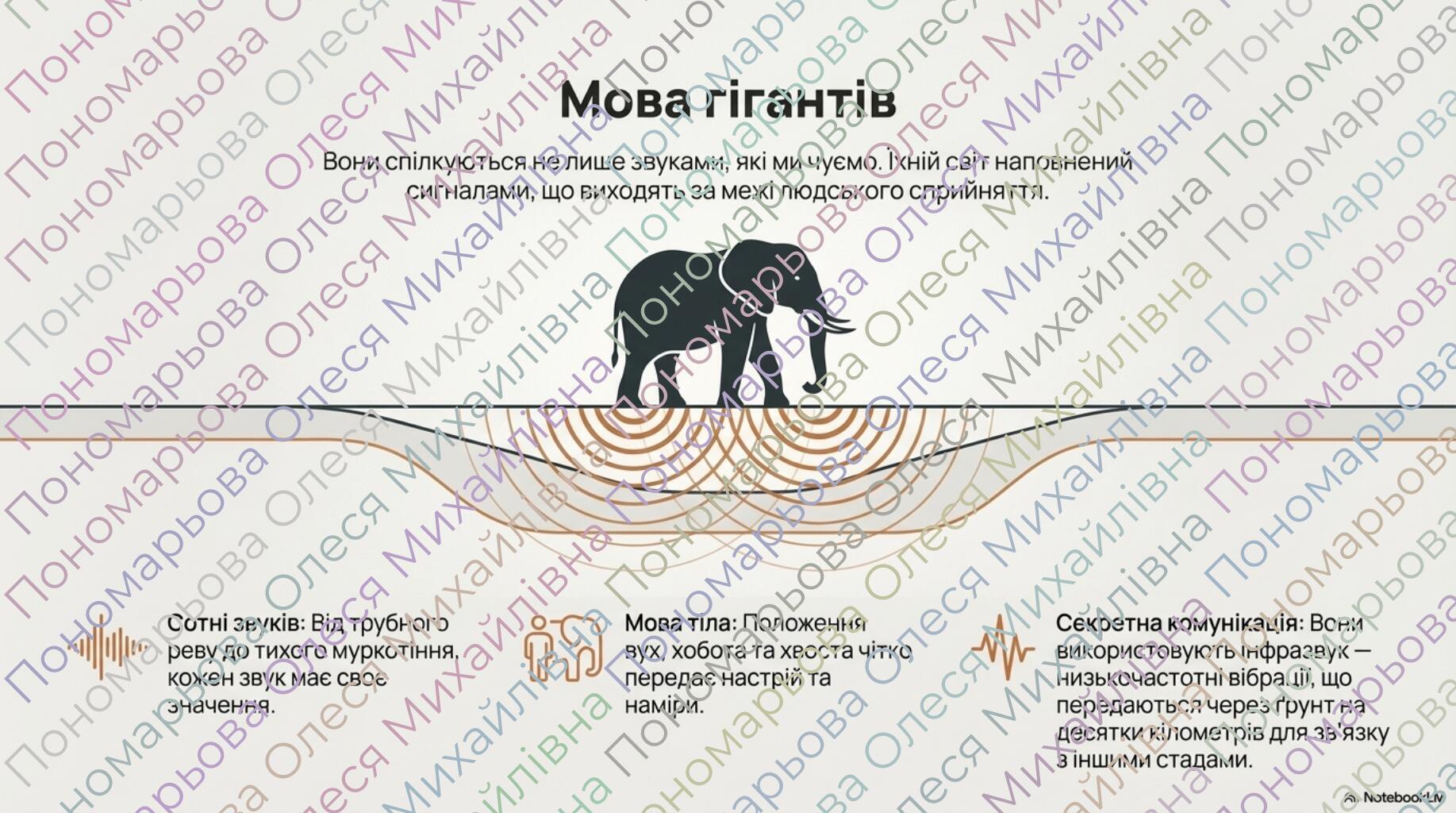 Слони: за лаштунками величі | Презентація. Довкілля