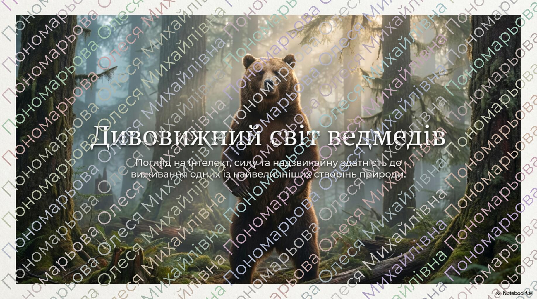 Дивовижний світ ведмедів | Презентація. Довкілля