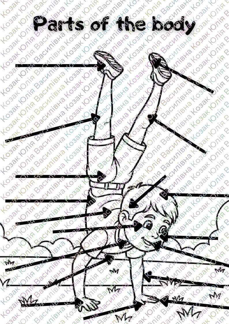 Parts of the body | Інтерактивні матеріали. Англійська мова