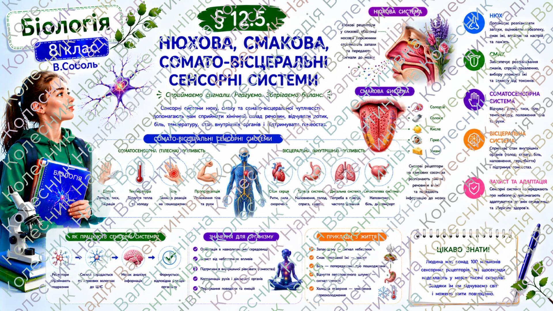 Нюхова, смакова, сомато-вісцеральні сенсорні системи. Презентація ...