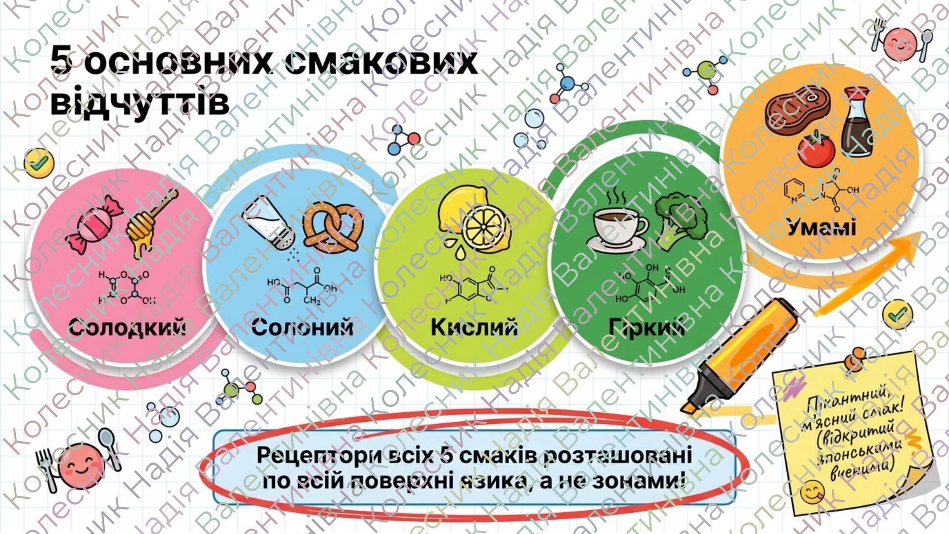 Нюхова, смакова, сомато-вісцеральні сенсорні системи. Презентація ...