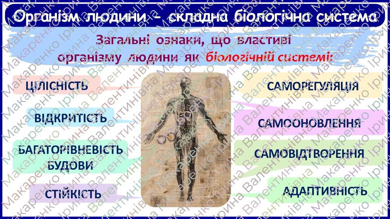 8 клас НУШ. Презентація до уроку з теми "Організм людини як ...
